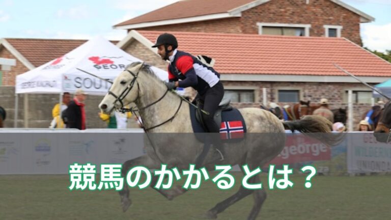 競馬で使う「かかる」とは？折り合い・馬場状態との関係を初心者向けに解説
